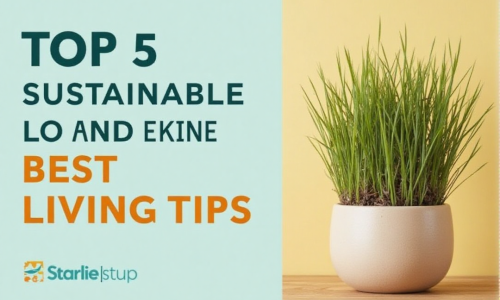 Top 5 Sustainable Living Tips - Ecocoolbiz